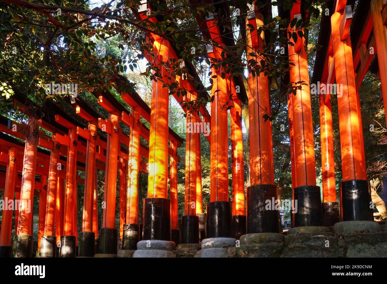 Torii gates at Fushimi Inari Shrine in Kyoto Stock Photo - Alamy