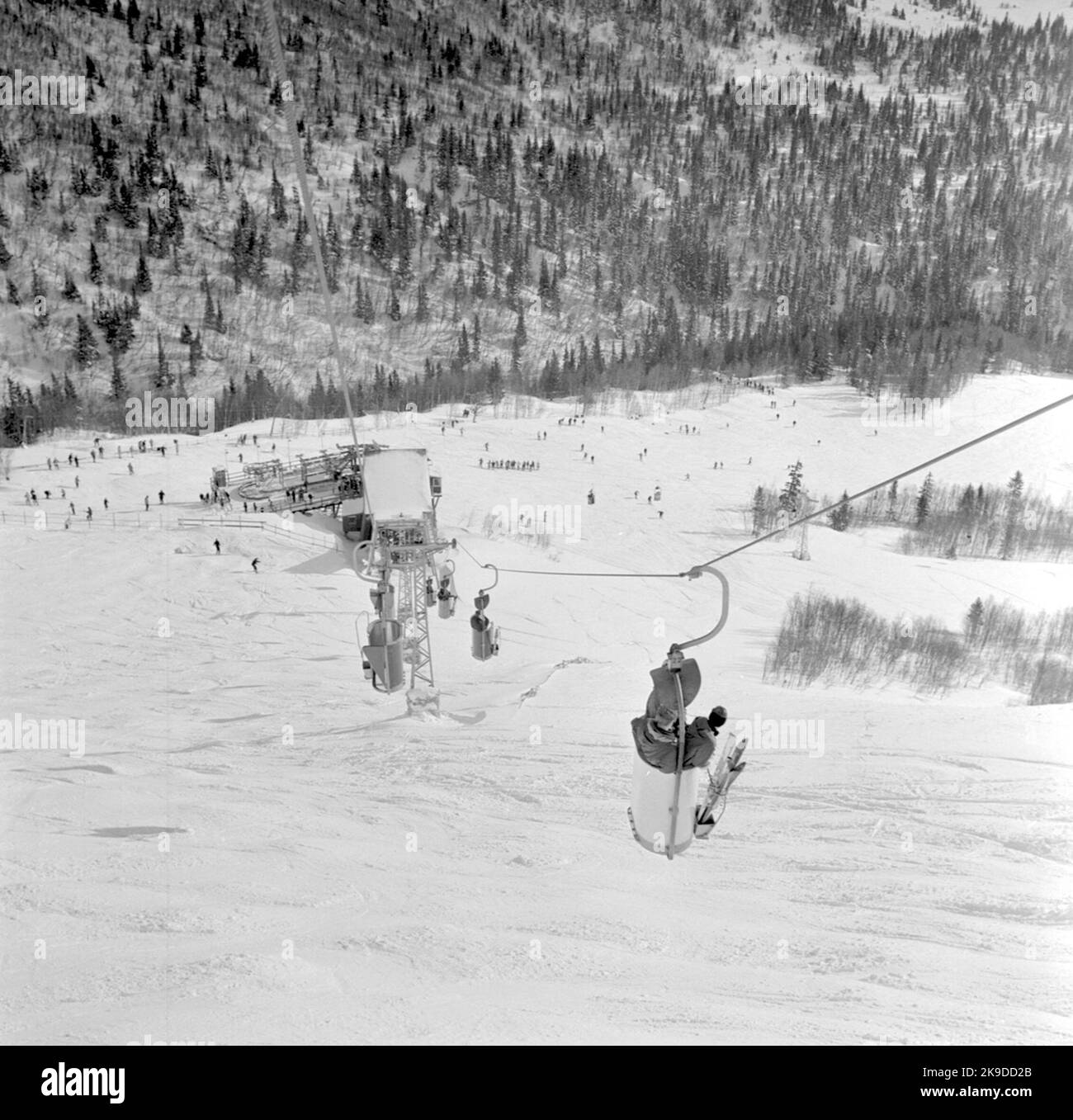 Tree vehicle Black and White Stock Photos & Images - Alamy