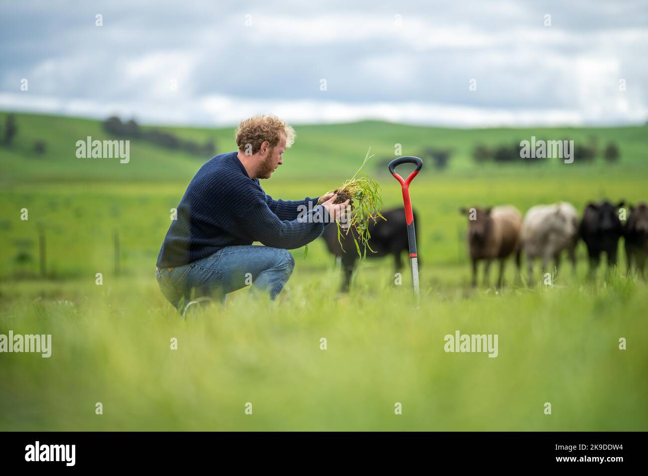 Taking soil sample hi-res stock photography and images - Alamy