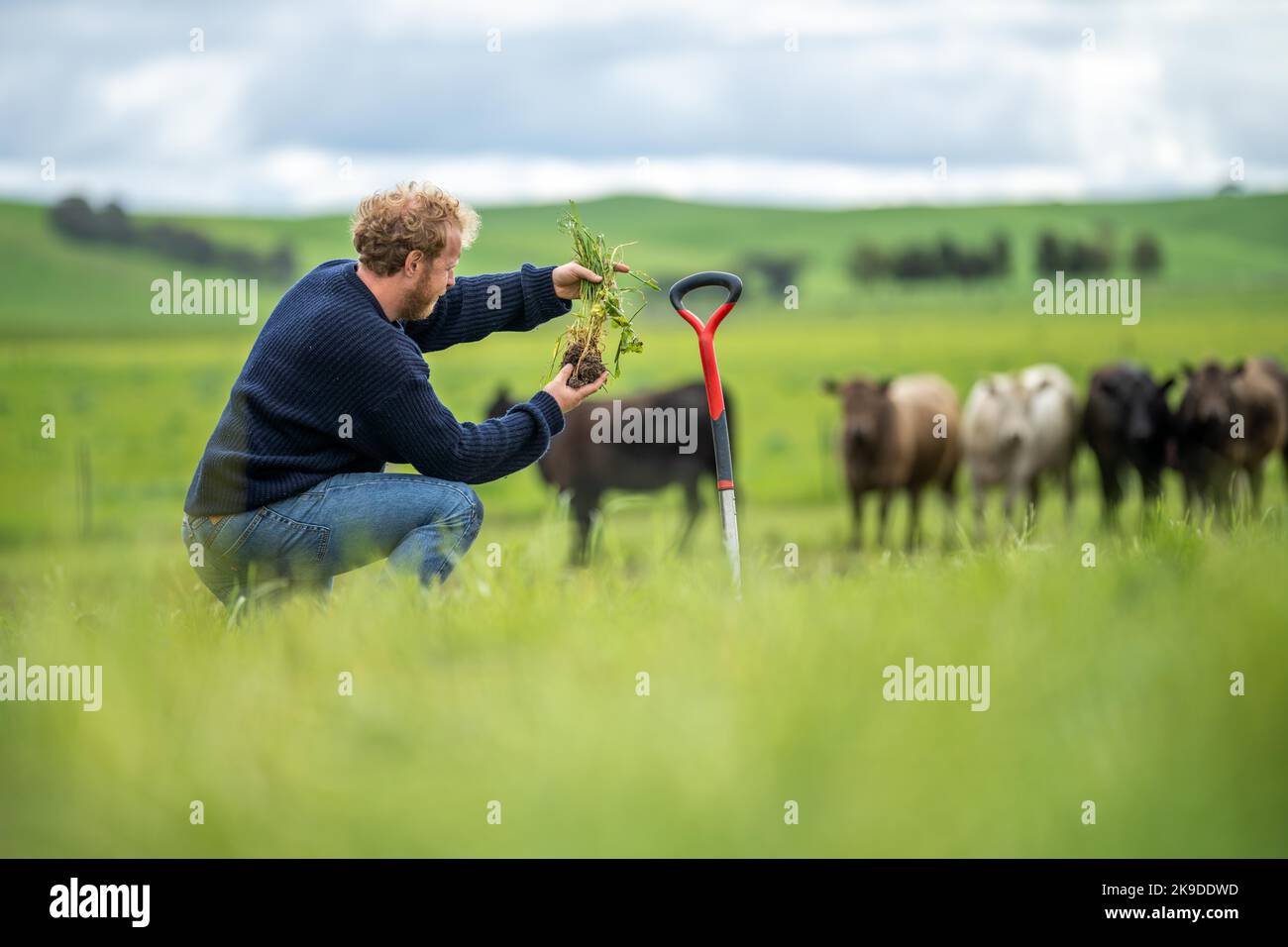 farming looking at soil on a farm in spring Stock Photo - Alamy