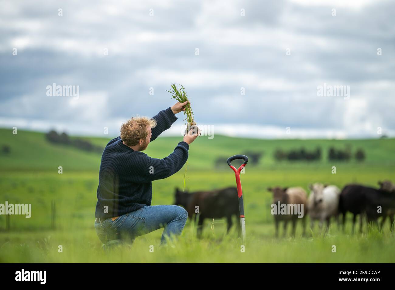 farming looking at soil on a farm in spring Stock Photo - Alamy