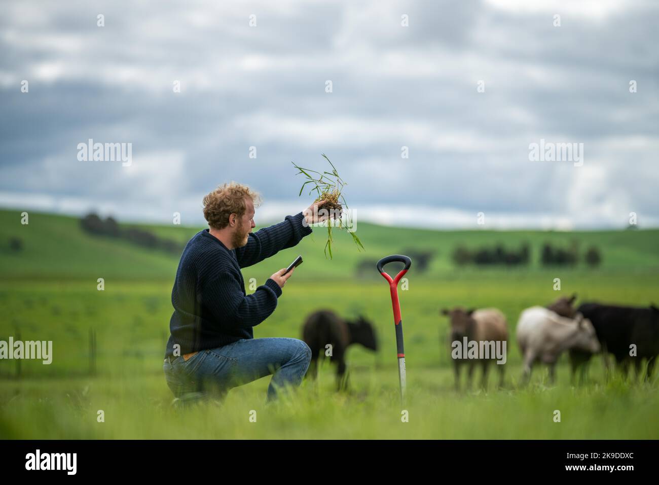 studying soil biology and soil life on a farm Stock Photo - Alamy