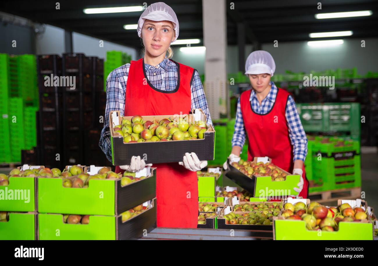 Woman employee working at fruit warehouse Stock Photo - Alamy