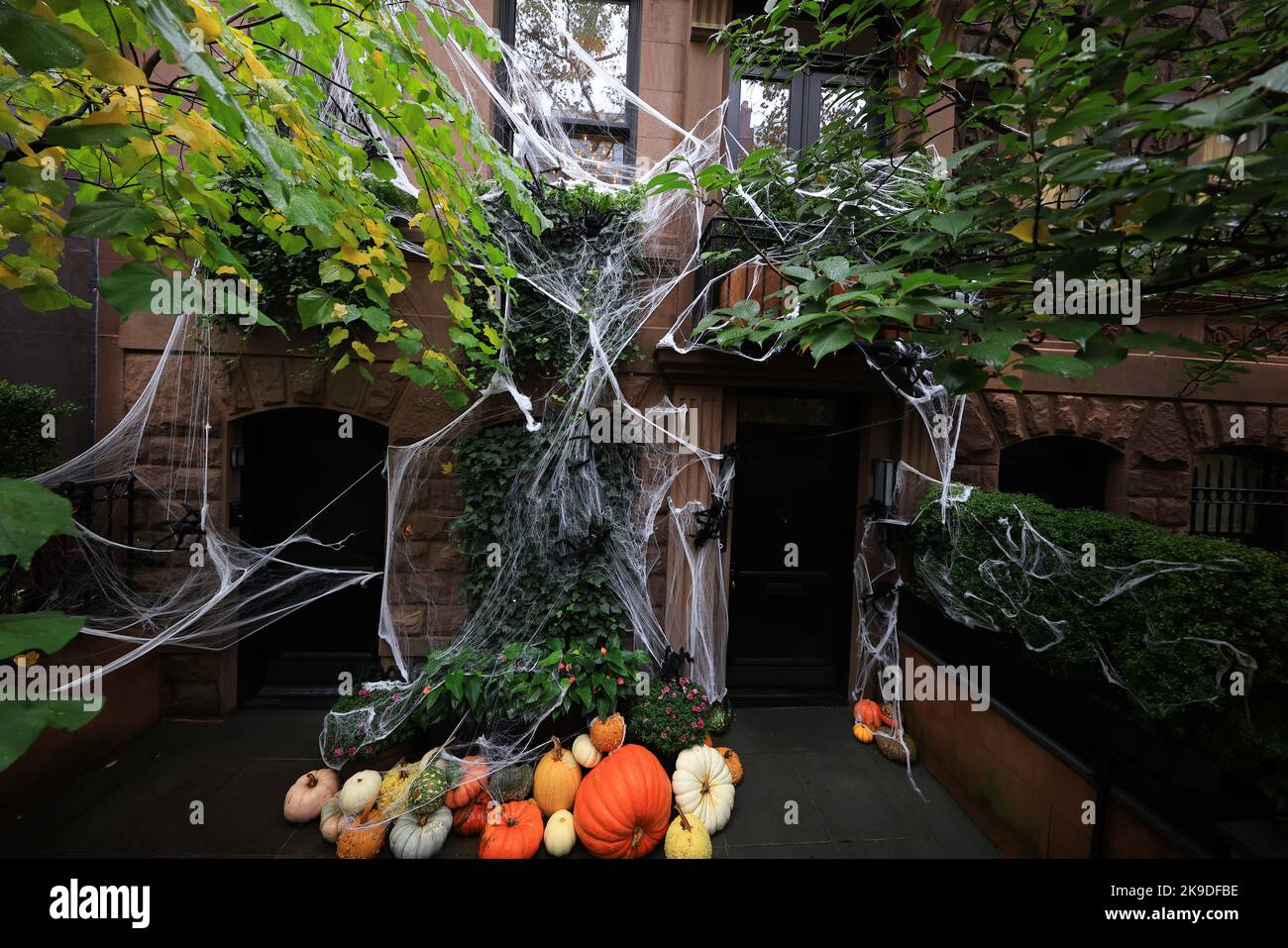 NEW YORK, NEW YORK - October 25, 2022: Cob webs and spiders cover the ...