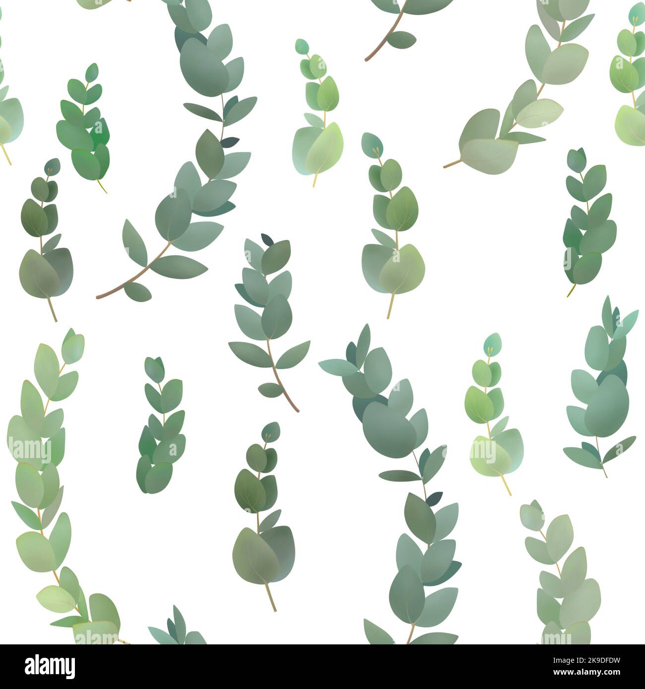 Seamless pattern leaves eucalyptus Cut Out Stock Images & Pictures - Alamy