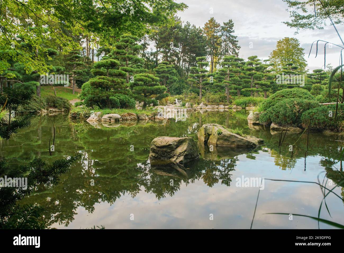 Amazing sunset view Japanese garden in NORDPARK in Dusseldorf with pond and reflections and ...