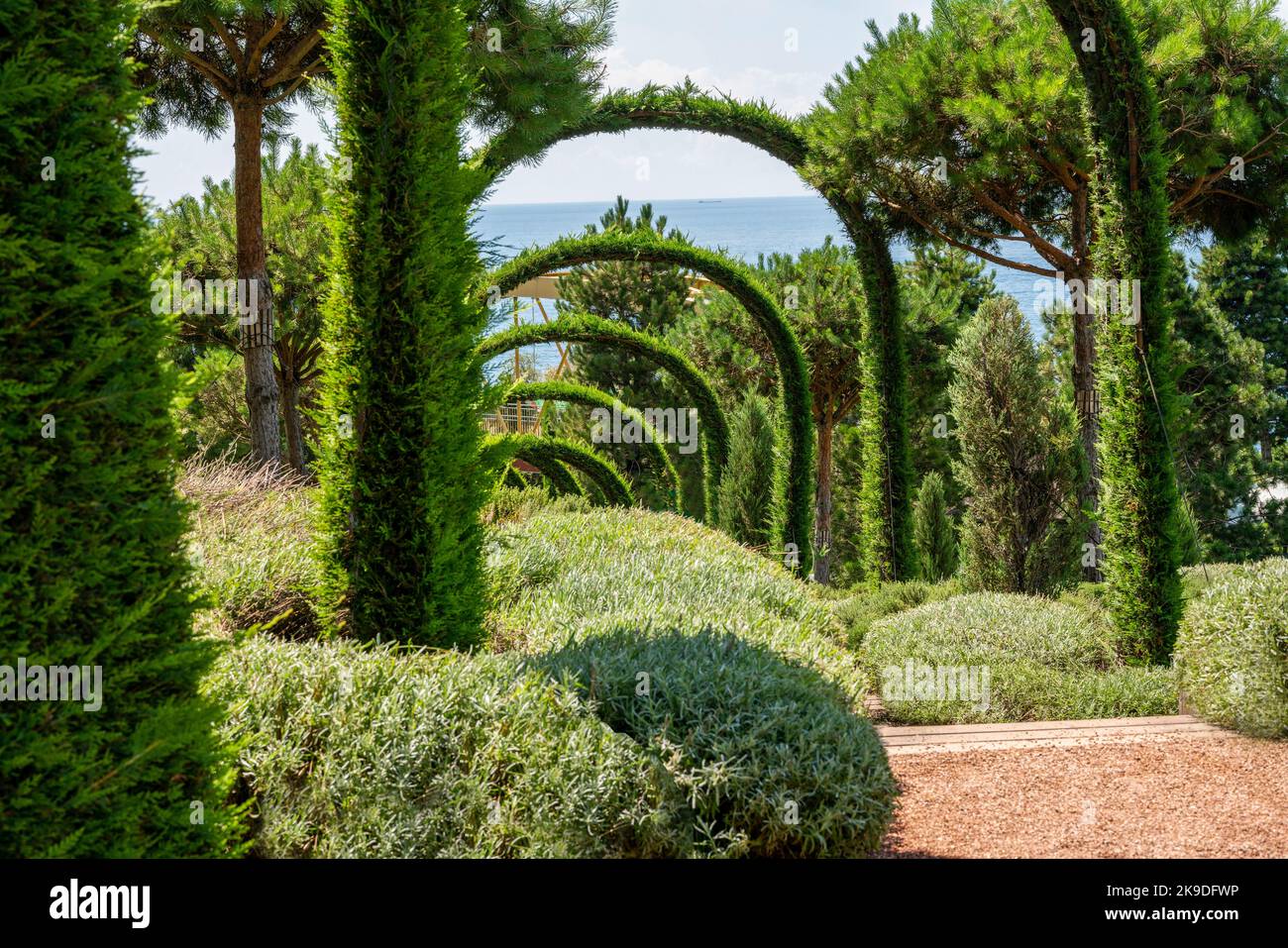 Amazing garden near the hotel "Mriya" with topiary plants (trimmed ...