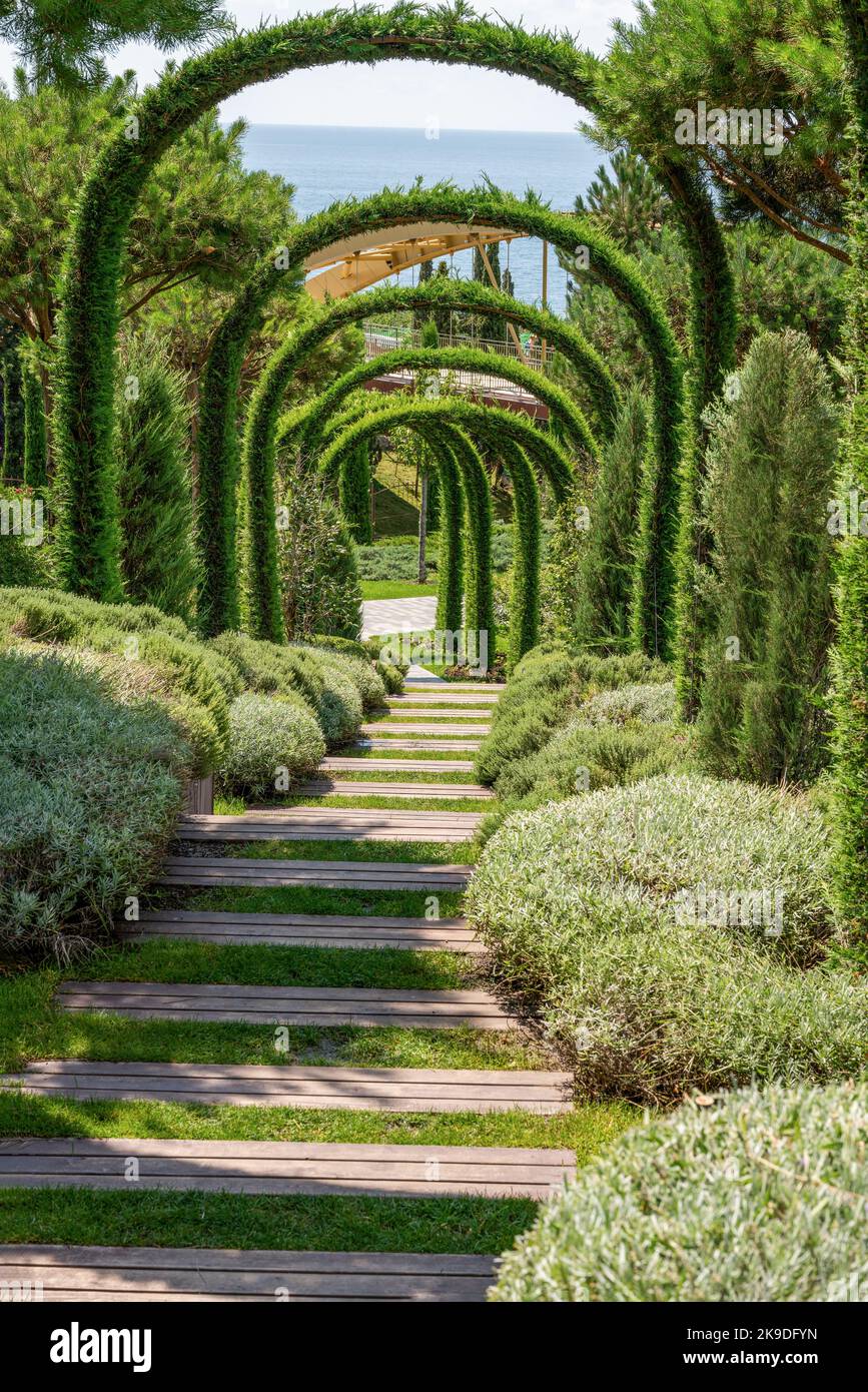 Amazing garden near the hotel "Mriya" with topiary plants (trimmed ...