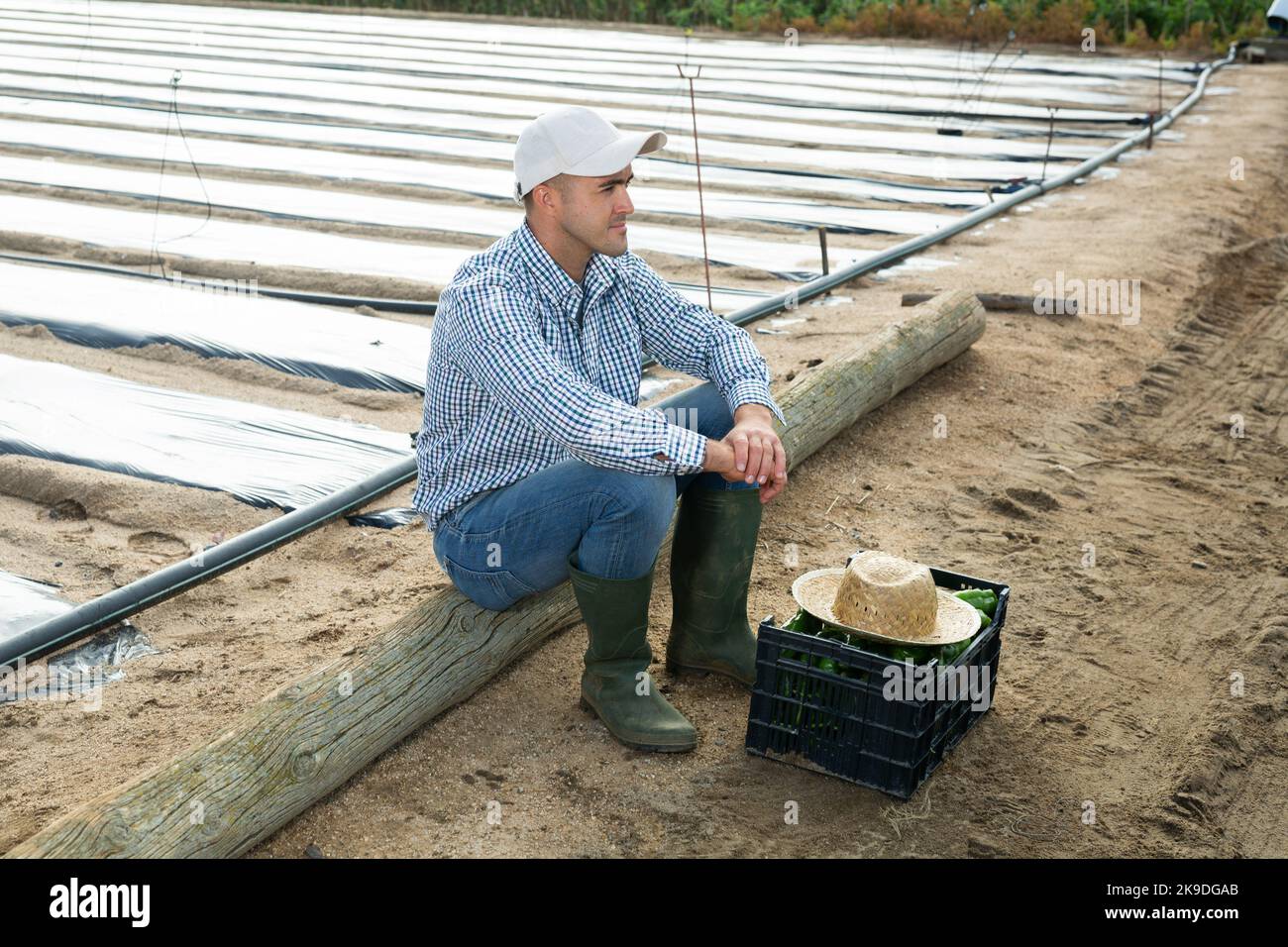 Tired male worker sits on log after covering plants with covering ...
