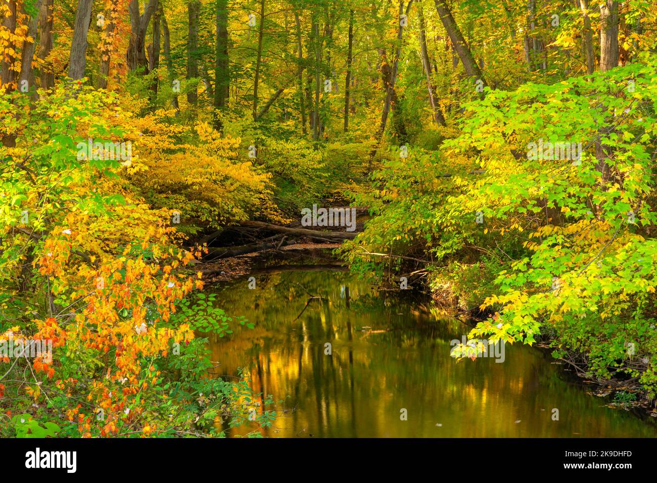 Farmington canal heritage trail hi-res stock photography and images - Alamy