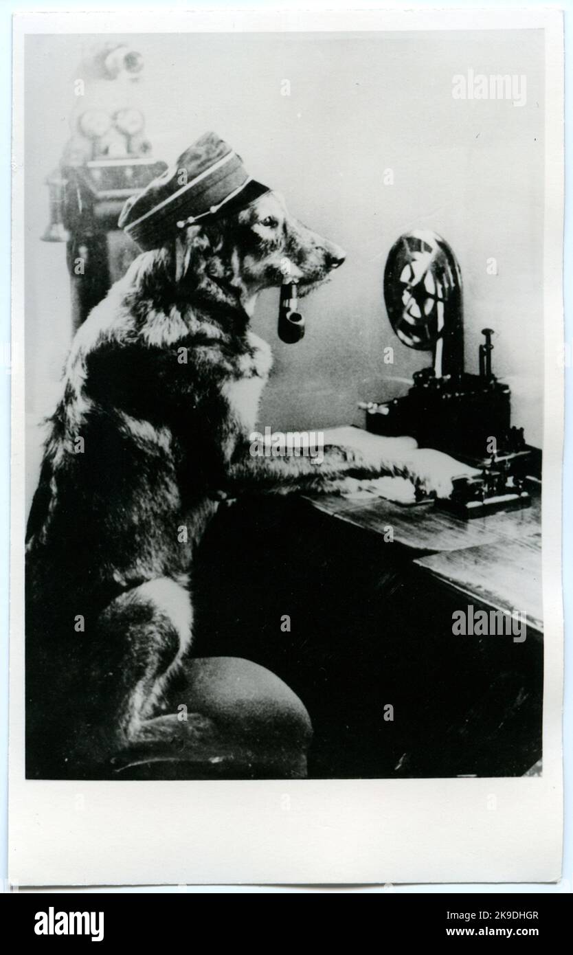 The statist "Dog Jack" as a telegraphist Stock Photo - Alamy
