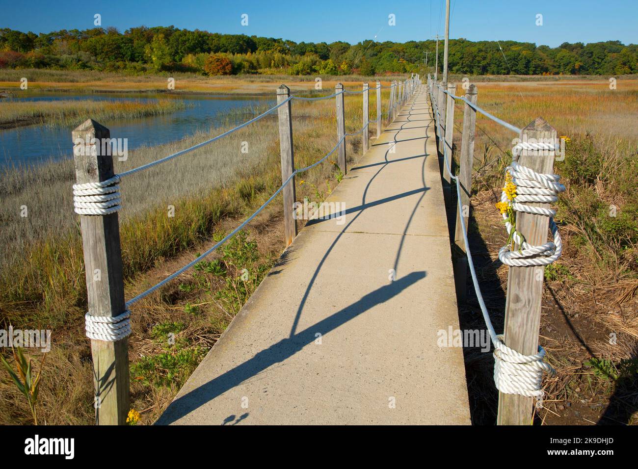Trolley Trail boardwalk, Vedder Preserve, Branford, Connecticut Stock ...