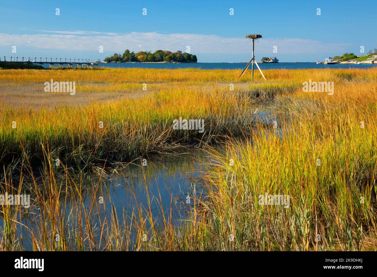 Salt water estuary, Vedder Preserve, Branford, Connecticut Stock Photo ...