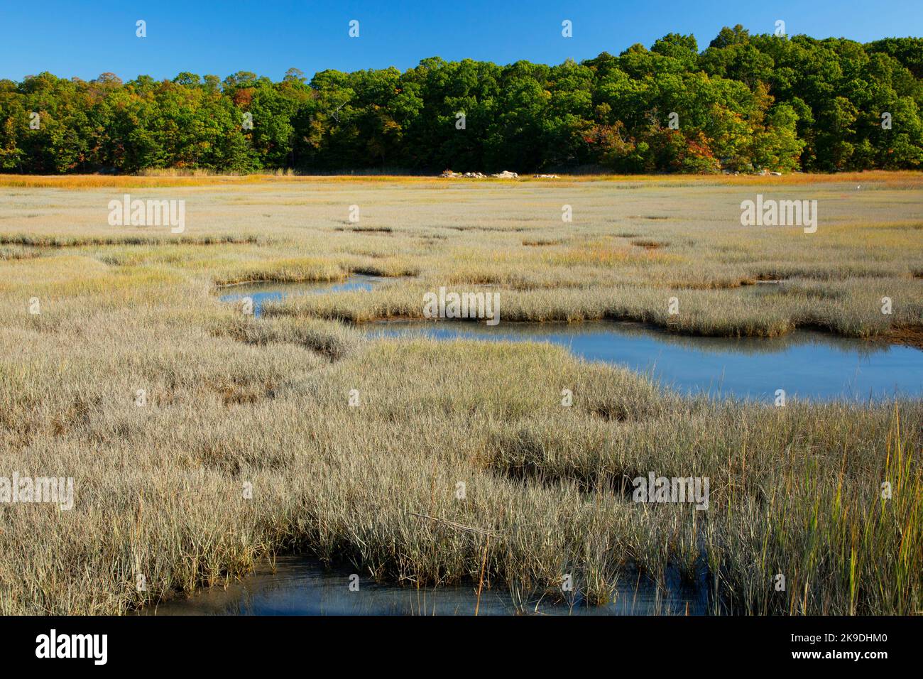 Salt water estuary, Vedder Preserve, Branford, Connecticut Stock Photo ...