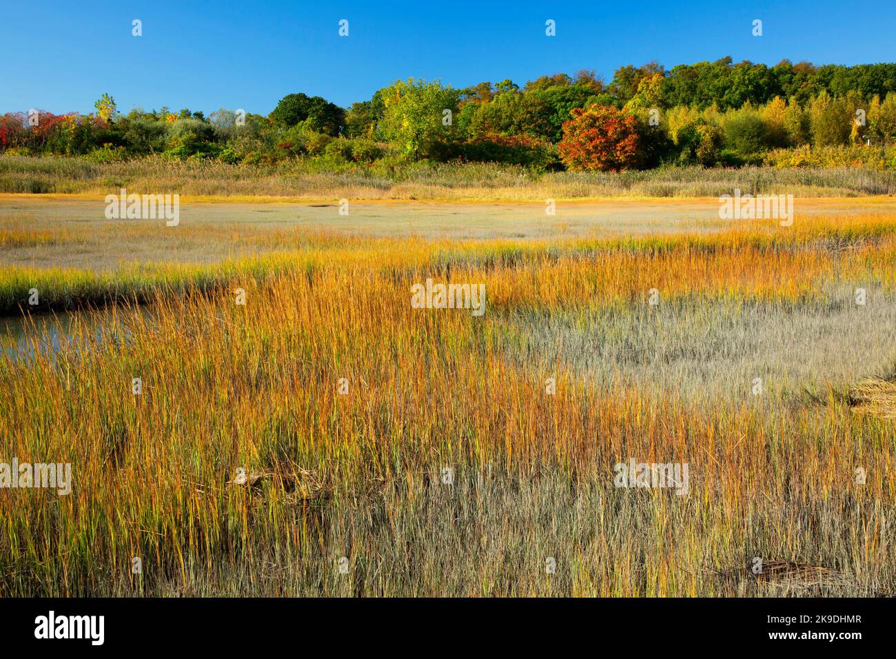Salt water estuary, Vedder Preserve, Branford, Connecticut Stock Photo ...