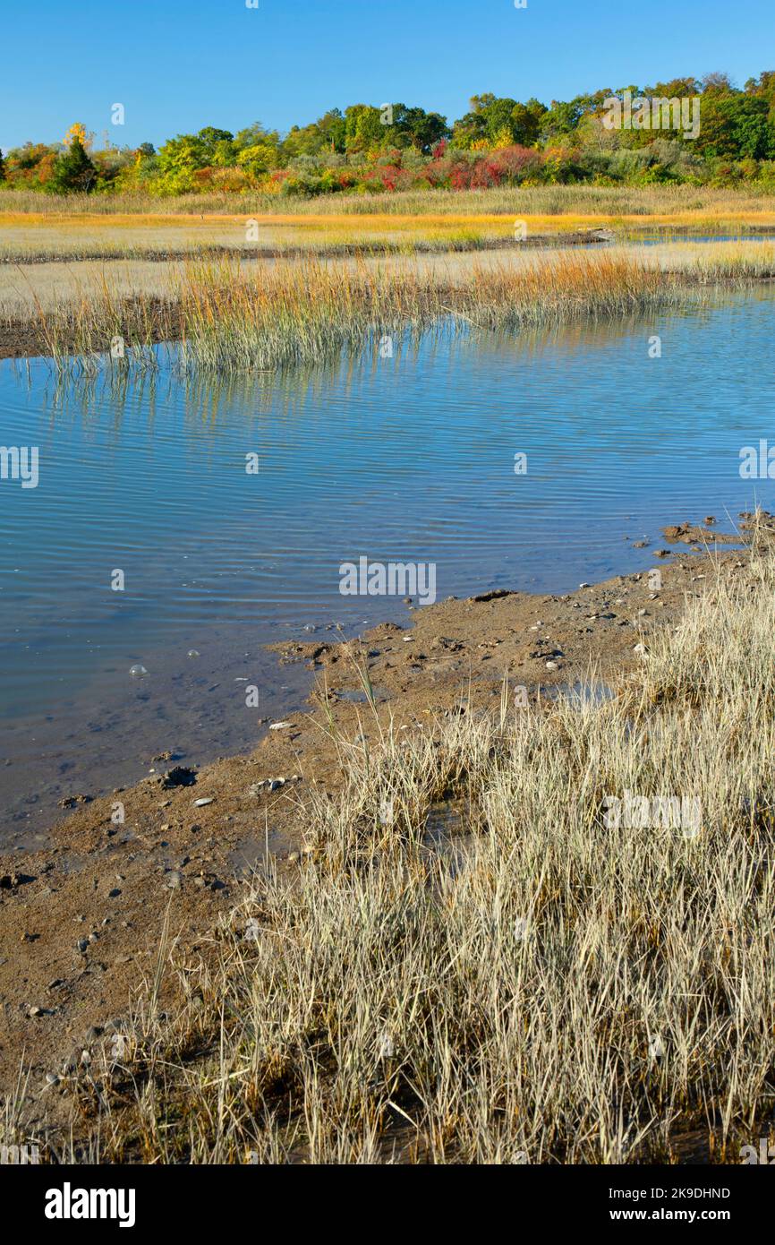 Salt water estuary, Vedder Preserve, Branford, Connecticut Stock Photo ...