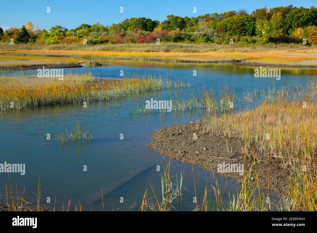 Salt water estuary, Vedder Preserve, Branford, Connecticut Stock Photo ...