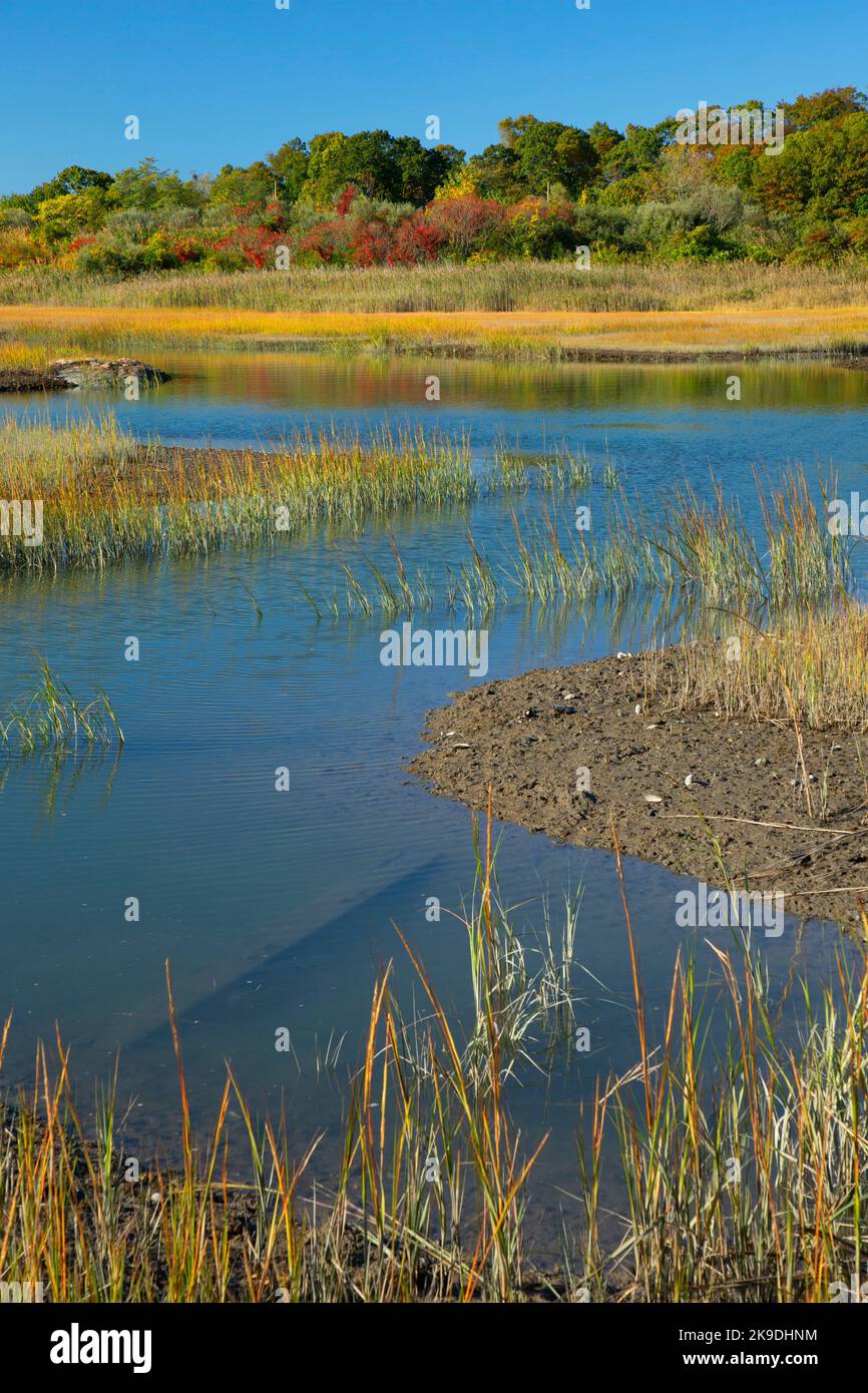 Salt water estuary, Vedder Preserve, Branford, Connecticut Stock Photo ...