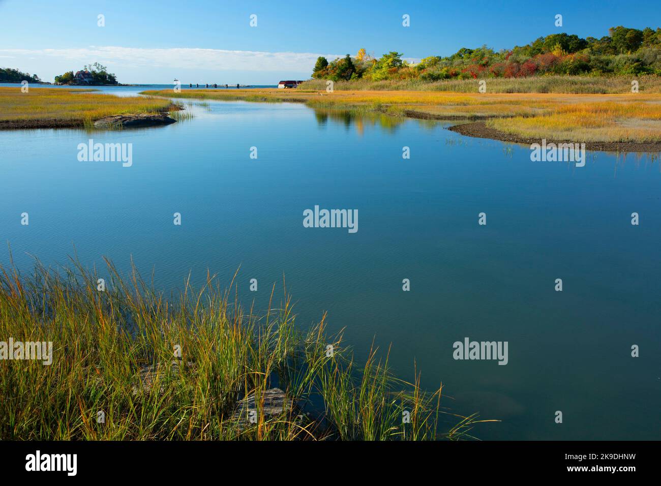 Salt water estuary, Vedder Preserve, Branford, Connecticut Stock Photo ...