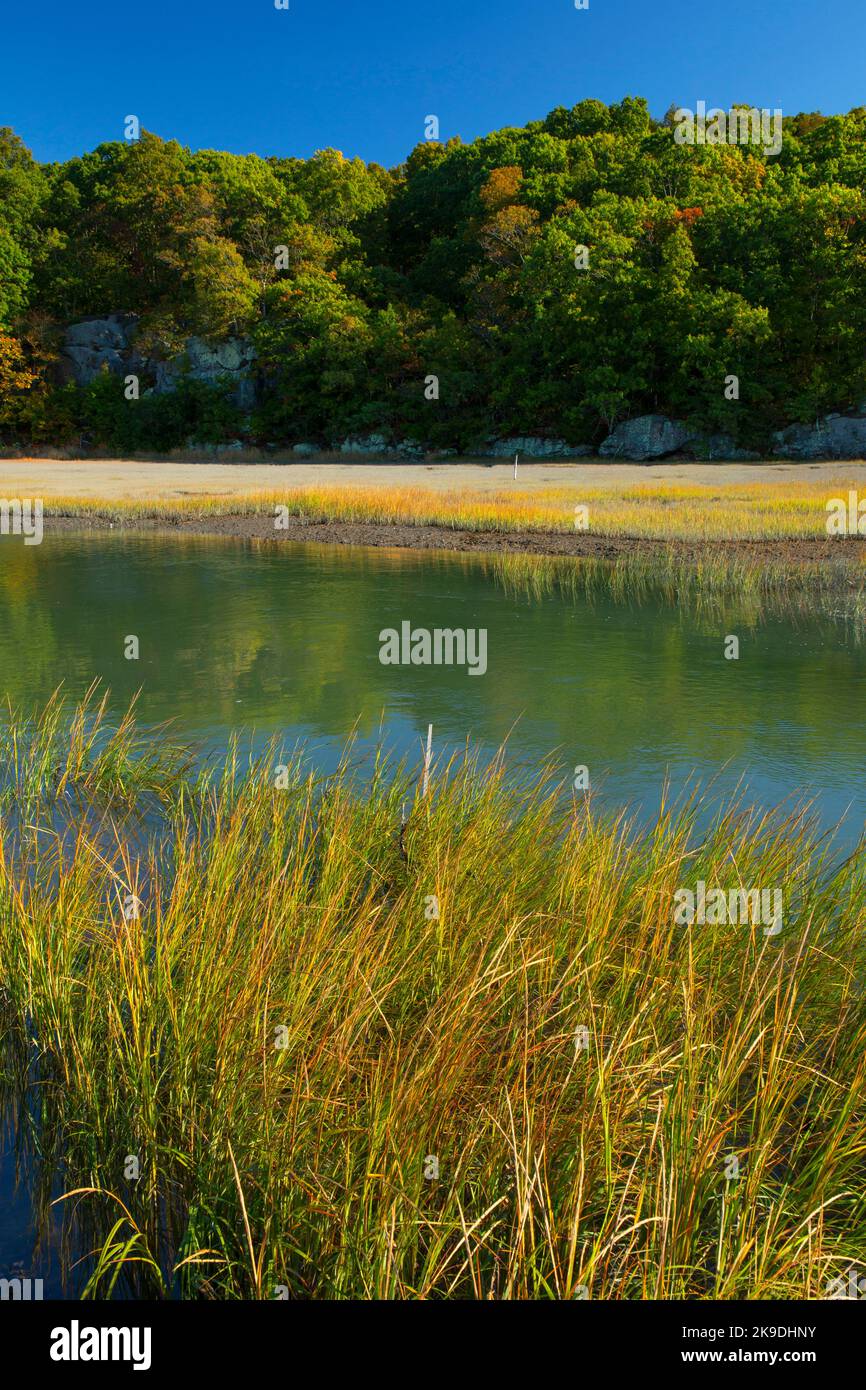 Salt water estuary, Vedder Preserve, Branford, Connecticut Stock Photo ...