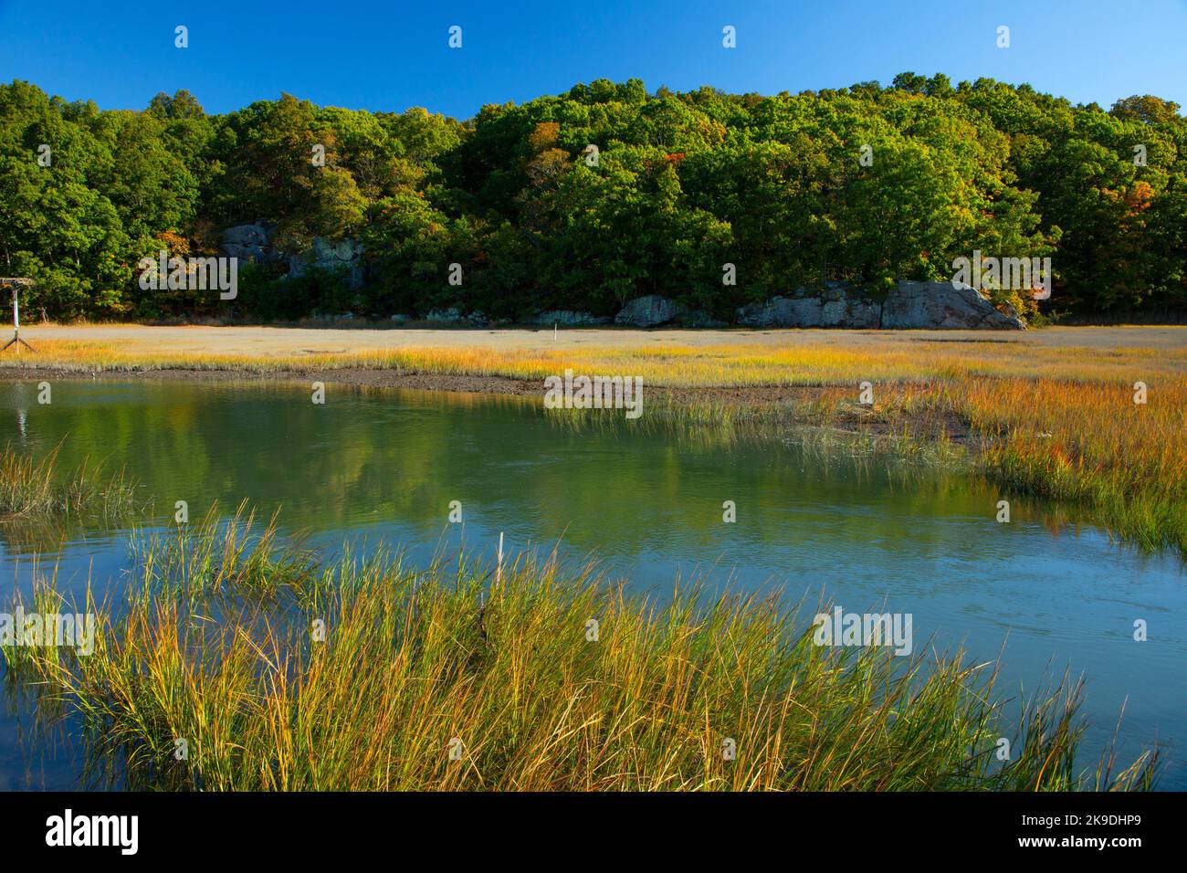 Salt water estuary, Vedder Preserve, Branford, Connecticut Stock Photo ...