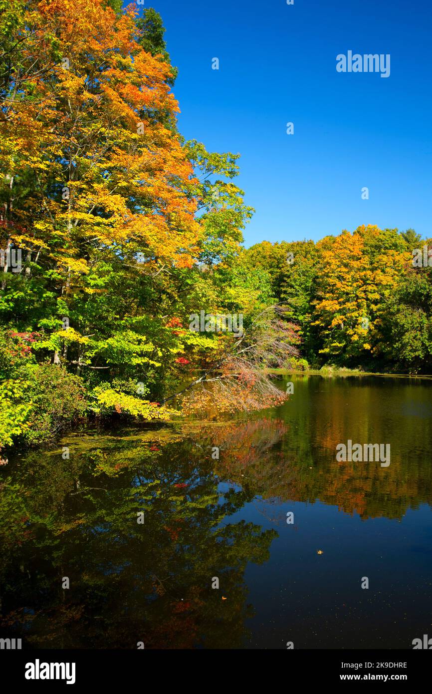 Branford Supply Pond, Supply Ponds Preserve, Branford, Connecticut ...
