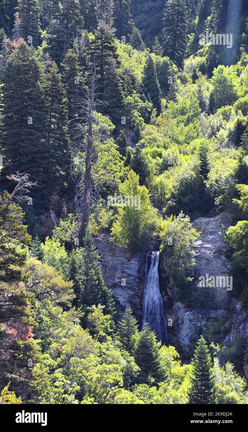 Horsetail Falls cascade down the cliffs in Lone Peak Wilderness along ...
