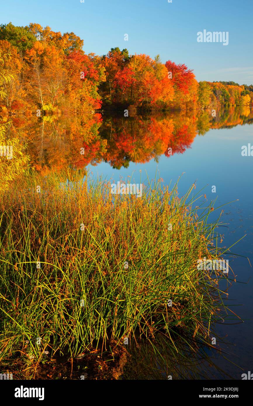 Batterson Park Pond, Batterson Park Pond State Boat Launch, New Britain ...