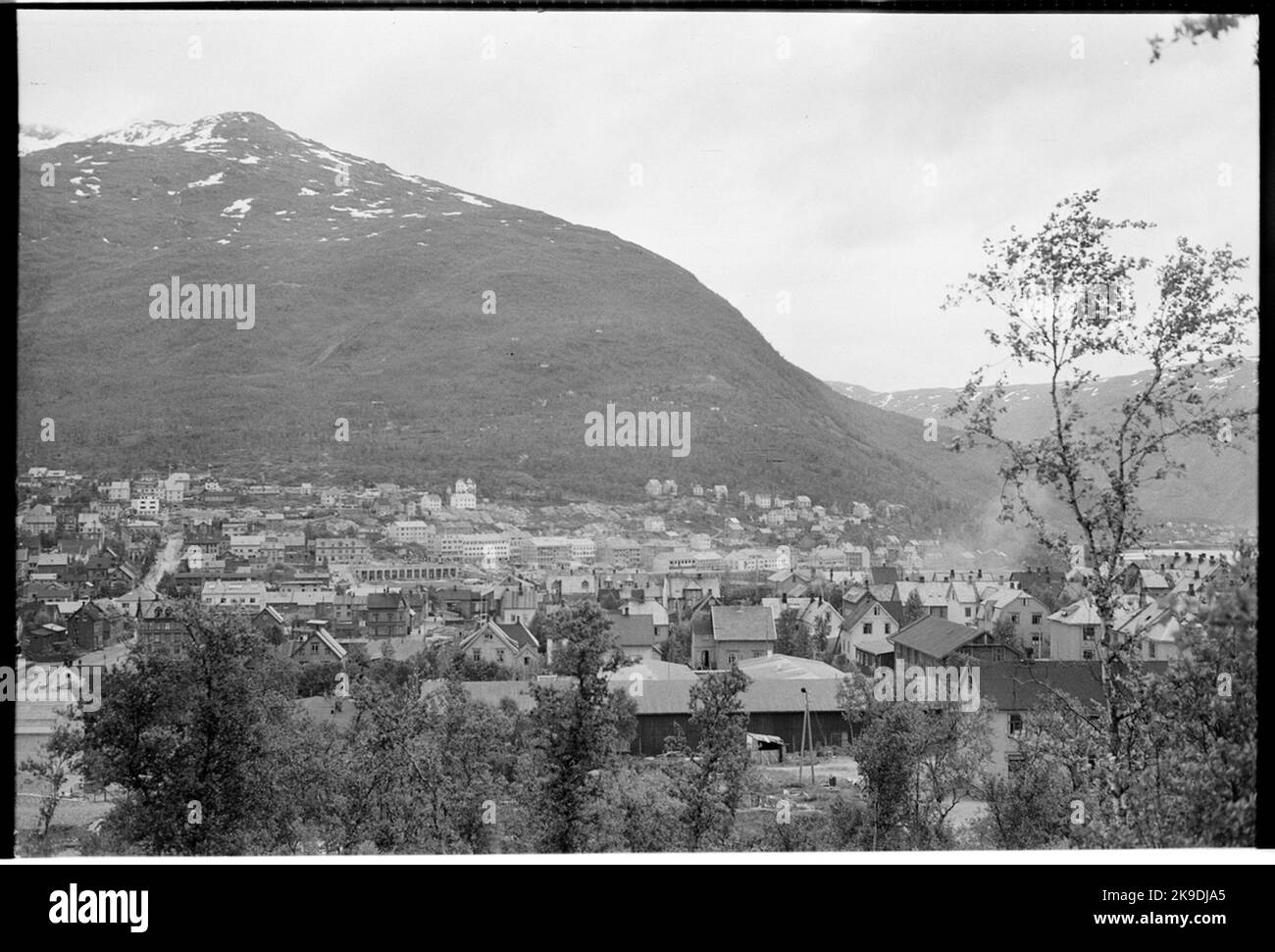 View of Narvik and its surroundings Stock Photo - Alamy
