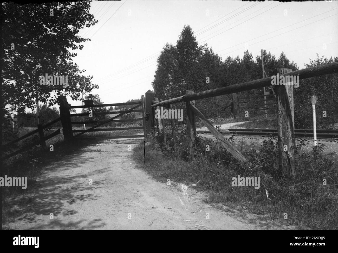 Road crossing with gate Stock Photo - Alamy