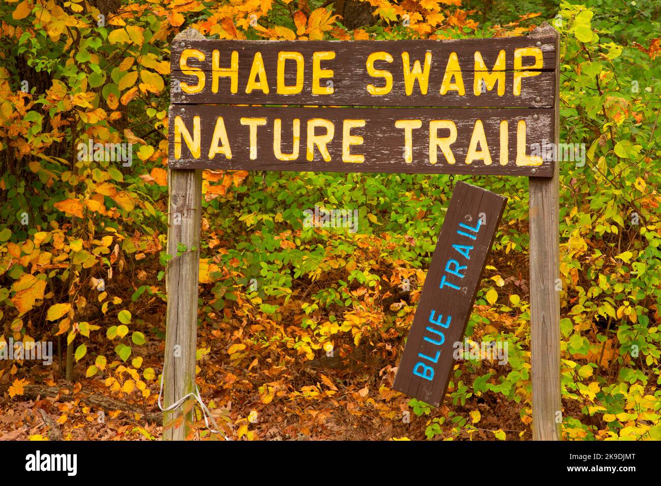Entrance sign, Shade Swamp Sanctuary, Connecticut Stock Photo - Alamy