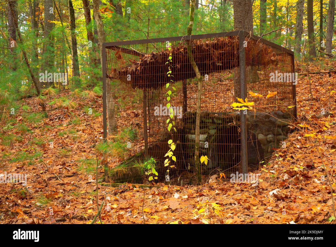 Abandoned zoo cage, Shade Swamp Sanctuary, Connecticut Stock Photo - Alamy