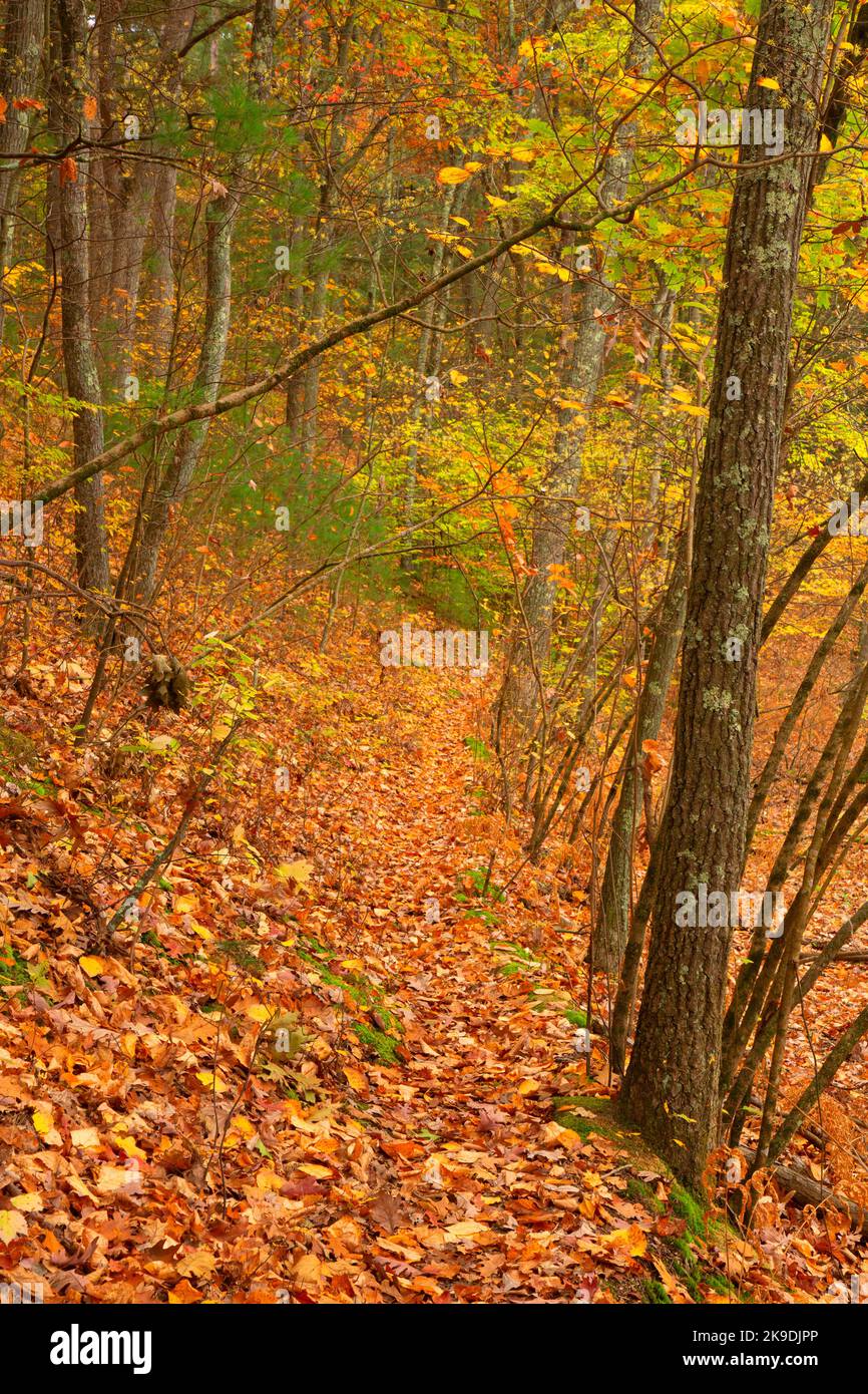 Blue trail hi-res stock photography and images - Alamy