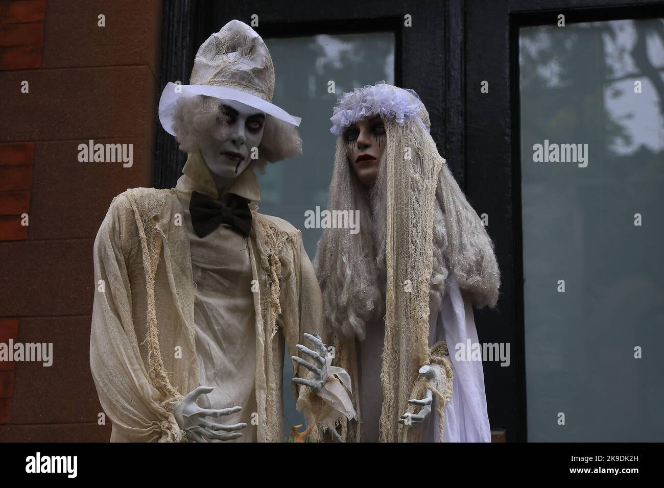 Human skeleton on stand hi-res stock photography and images - Alamy