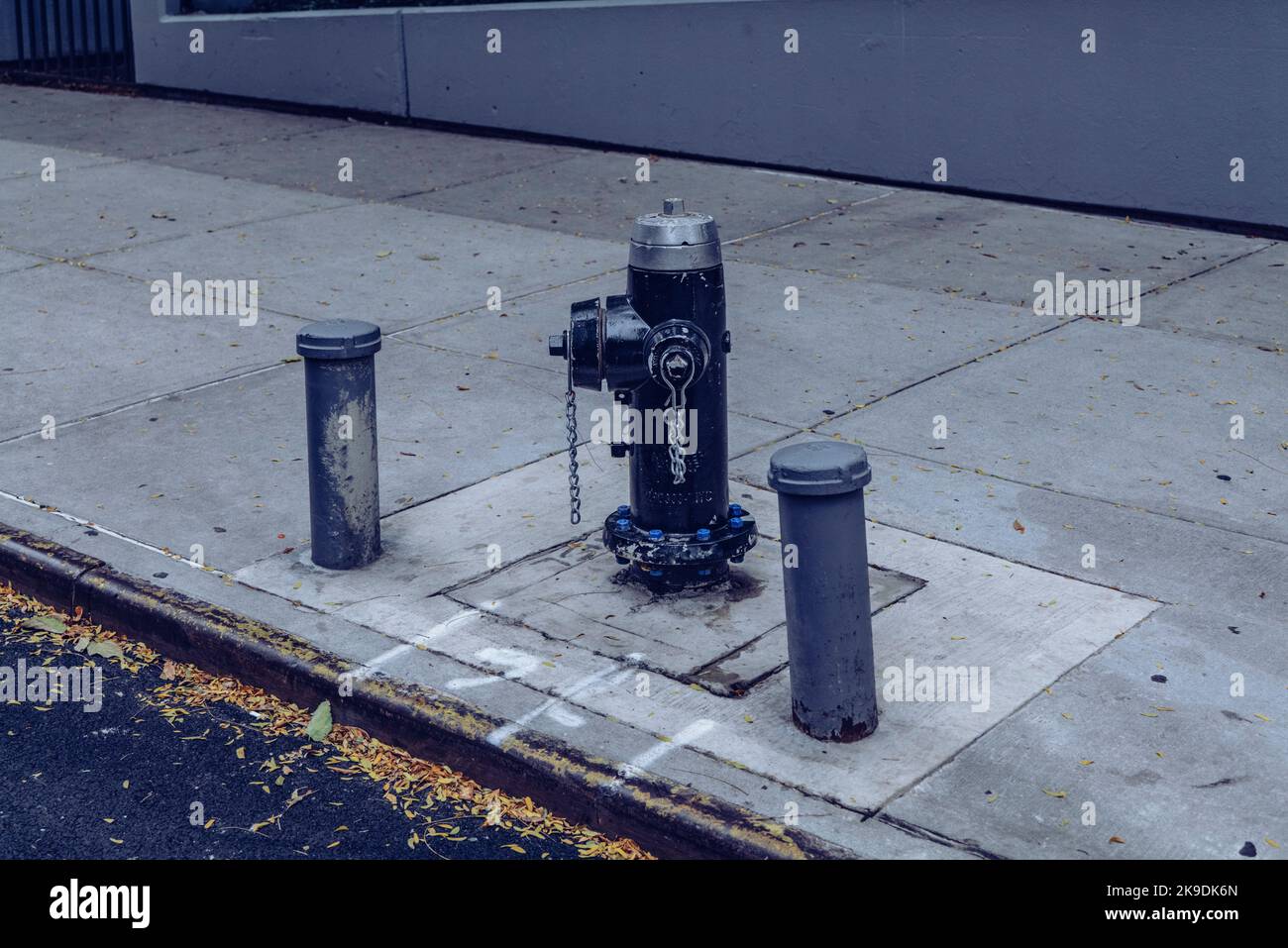 Classic Black US-style fire hydrant seen installed on a New York ...