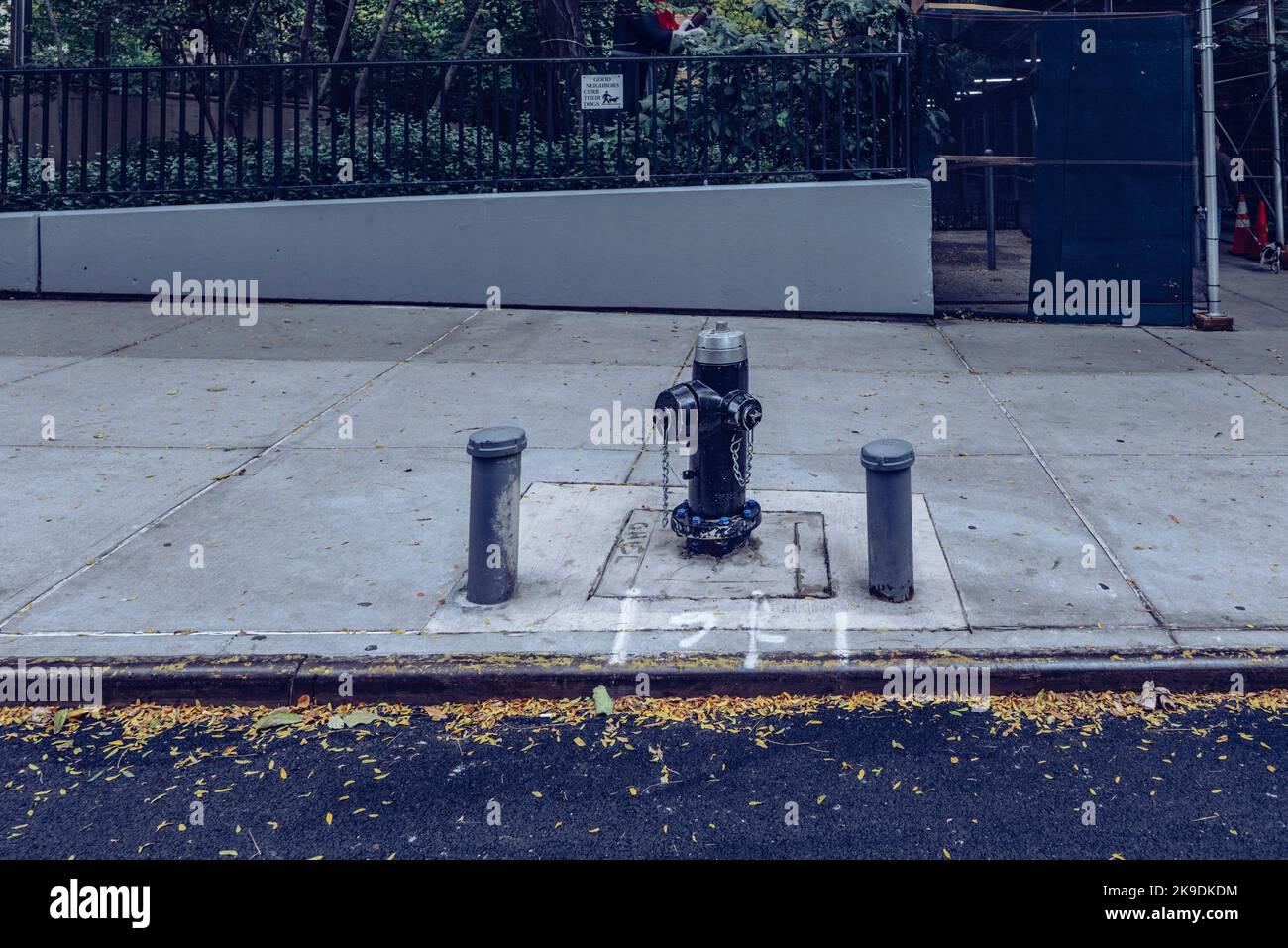Classic Black US-style fire hydrant seen installed on a New York ...