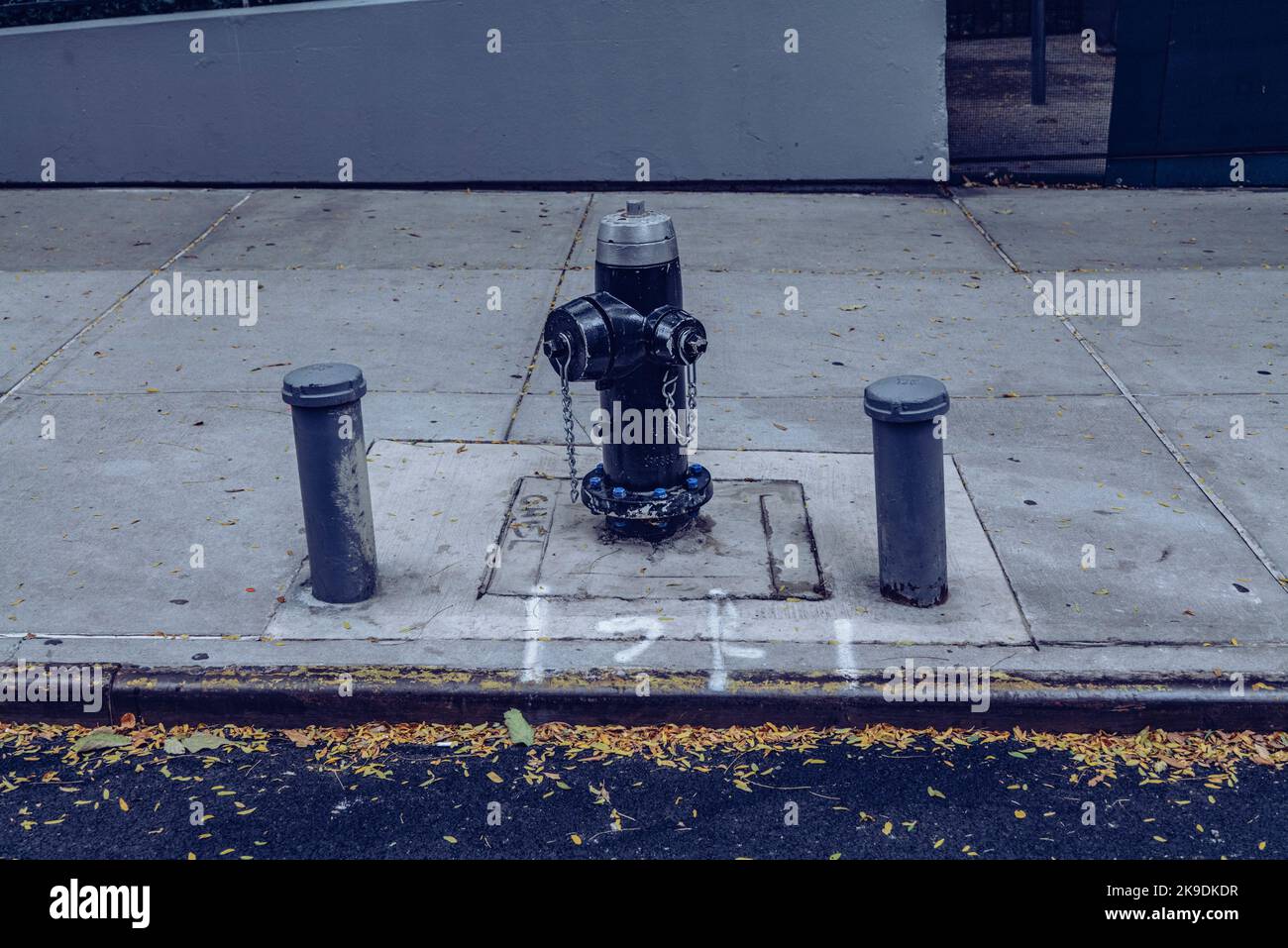 Classic Black US-style fire hydrant seen installed on a New York ...