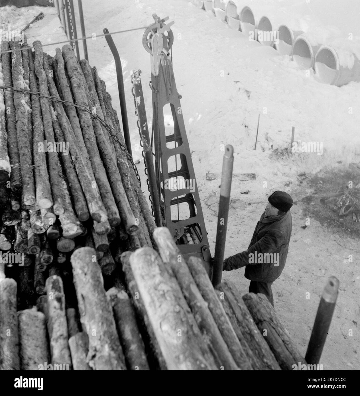 Loading of timber from truck to freight wagon with puller timber ...