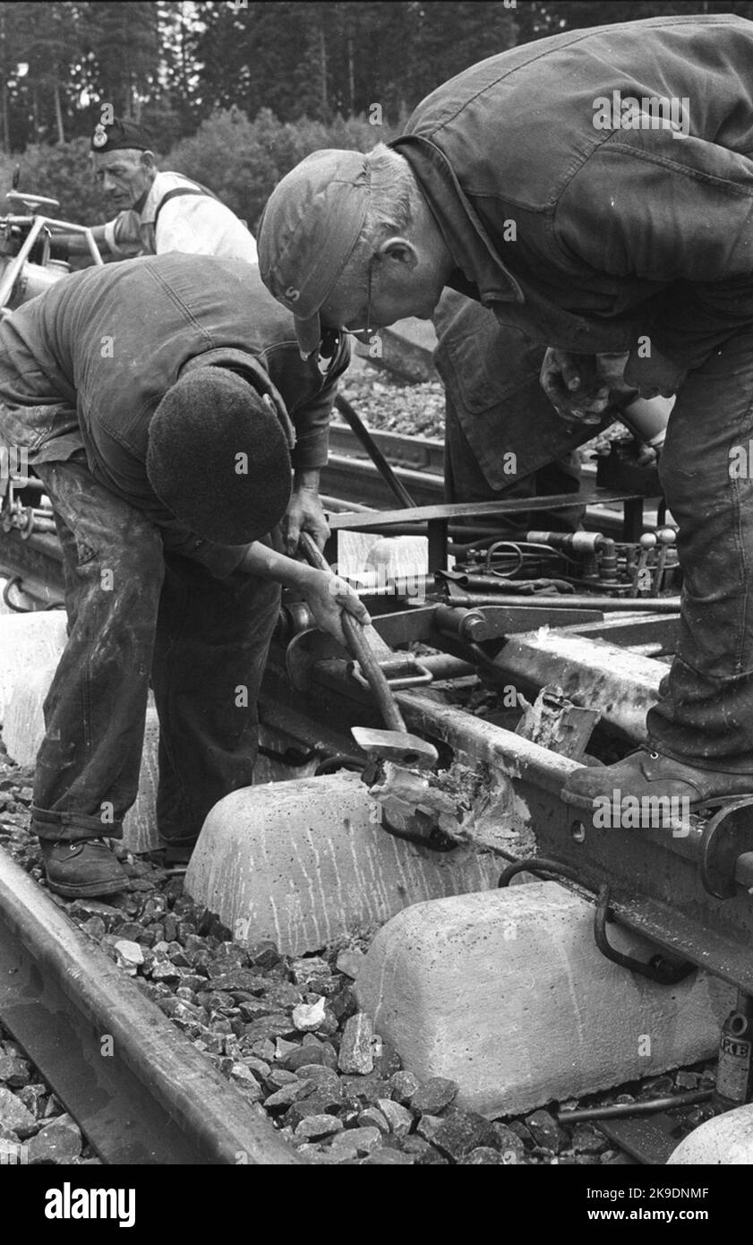 Track audit. Rails and grinders change (concrete grinders). Line ...