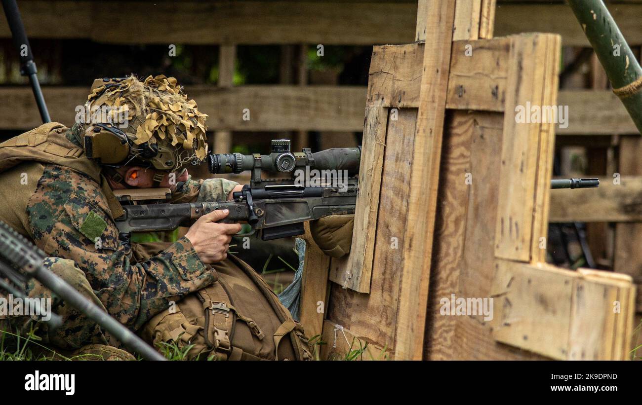 A U.S. Marine with Battalion Landing Team 2d Battalion, 5th Marines ...