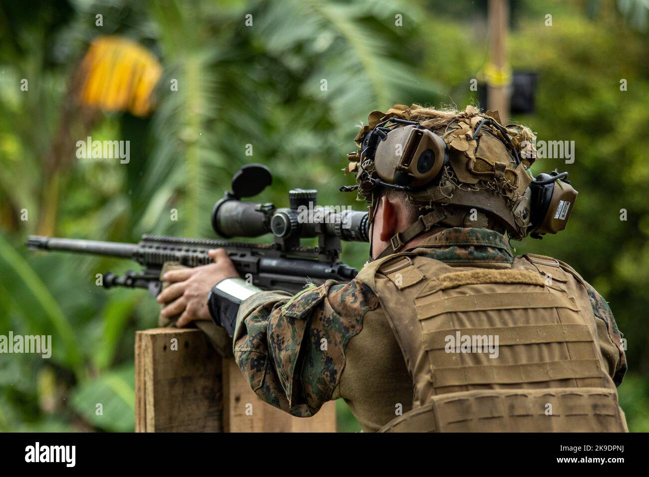 A U.S. Marine with Battalion Landing Team 2d Battalion, 5th Marines ...