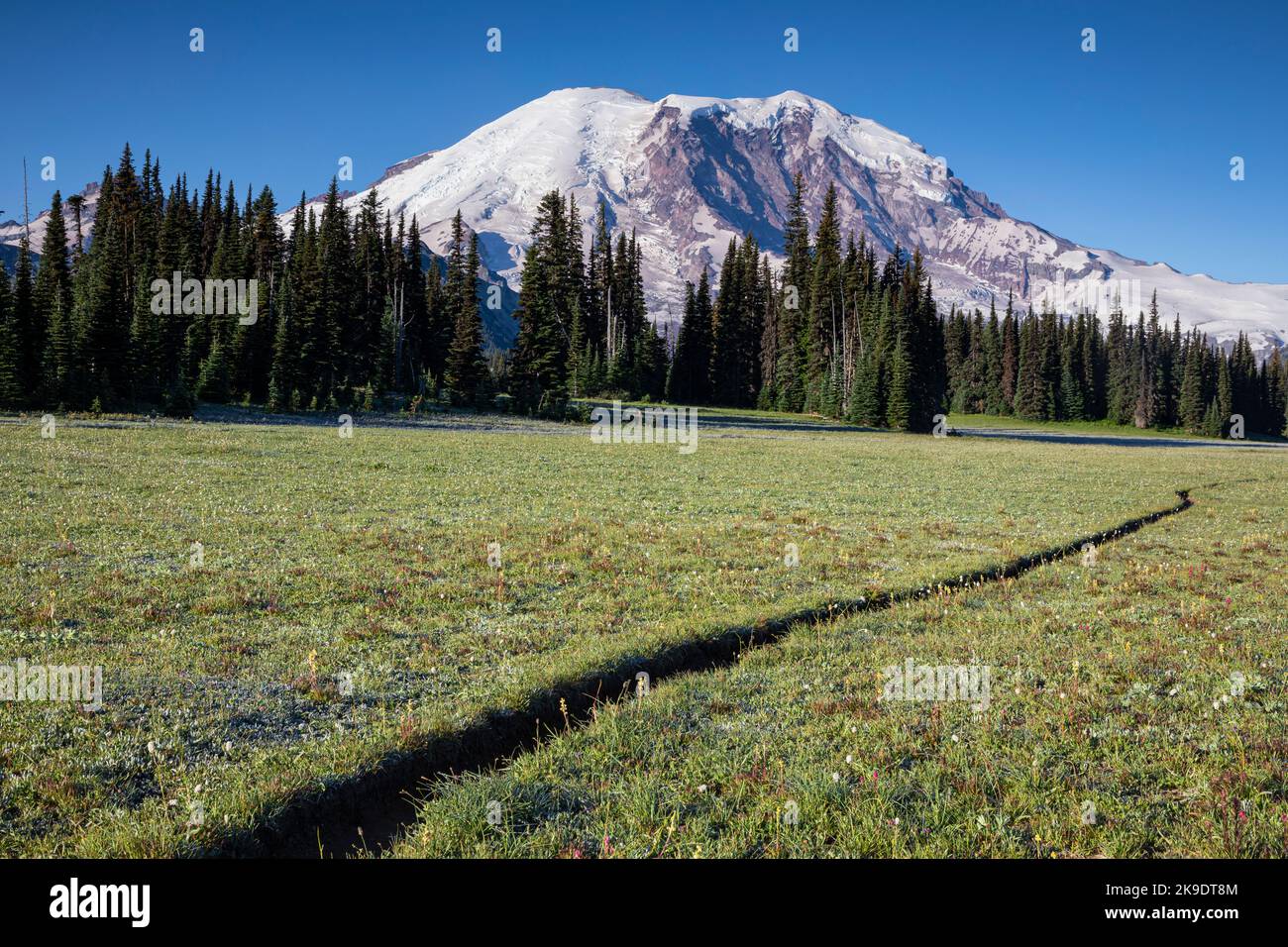 Northeast side of mount rainier hi-res stock photography and images - Alamy