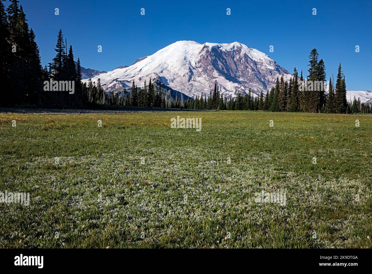 Northeast side of mount rainier hi-res stock photography and images - Alamy