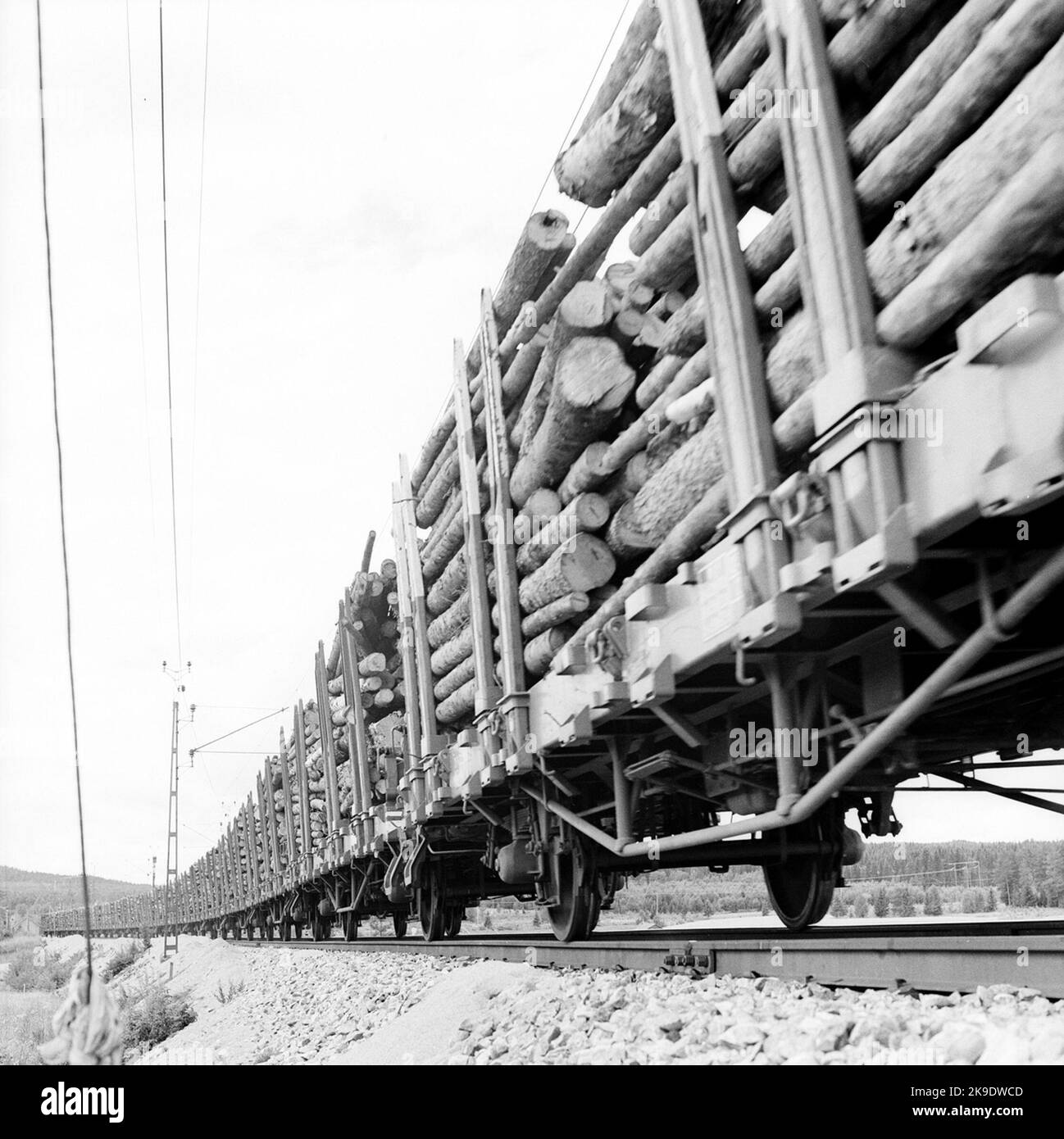Transport of pulpwood. SCA, Töva terminal Stock Photo - Alamy