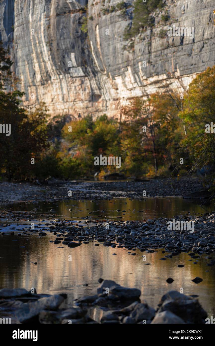 Sunset photo during the autumn as the trees change color at Roark Bluff ...
