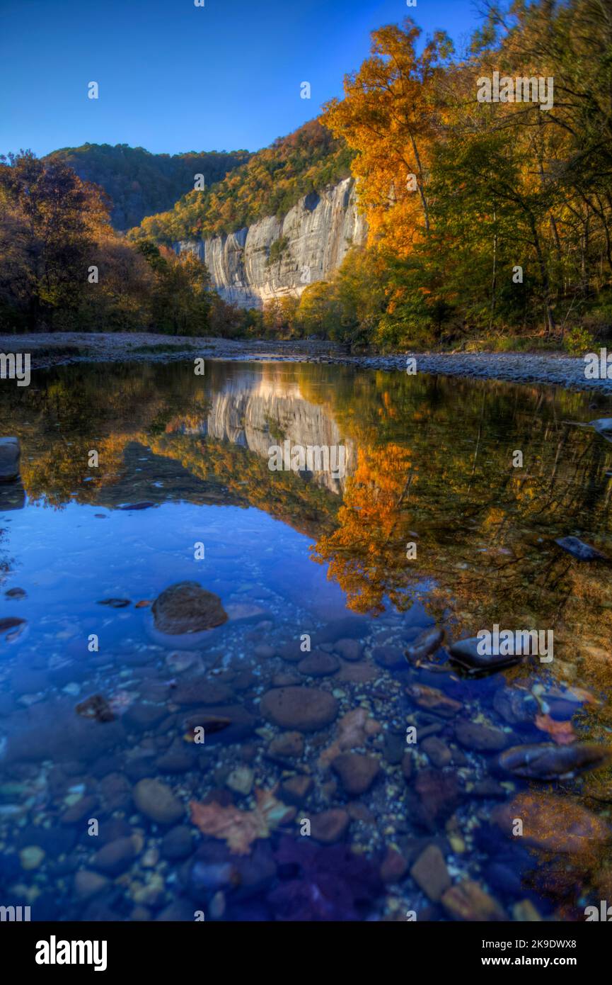 Sunset photo during the autumn as the trees change color at Roark Bluff ...