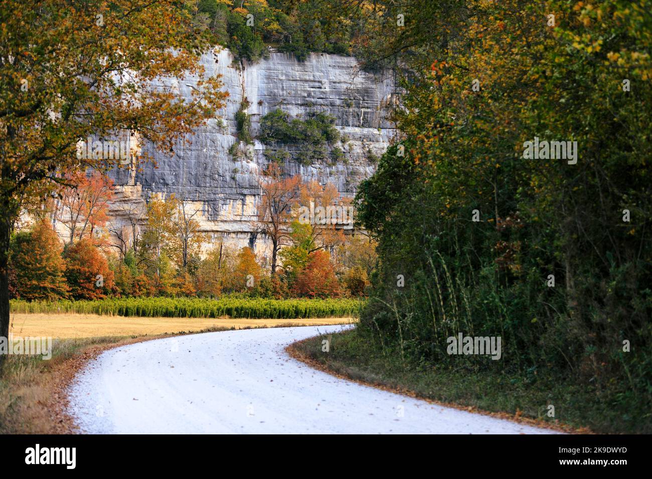 Sunset photo during the autumn as the trees change color at Roark Bluff ...