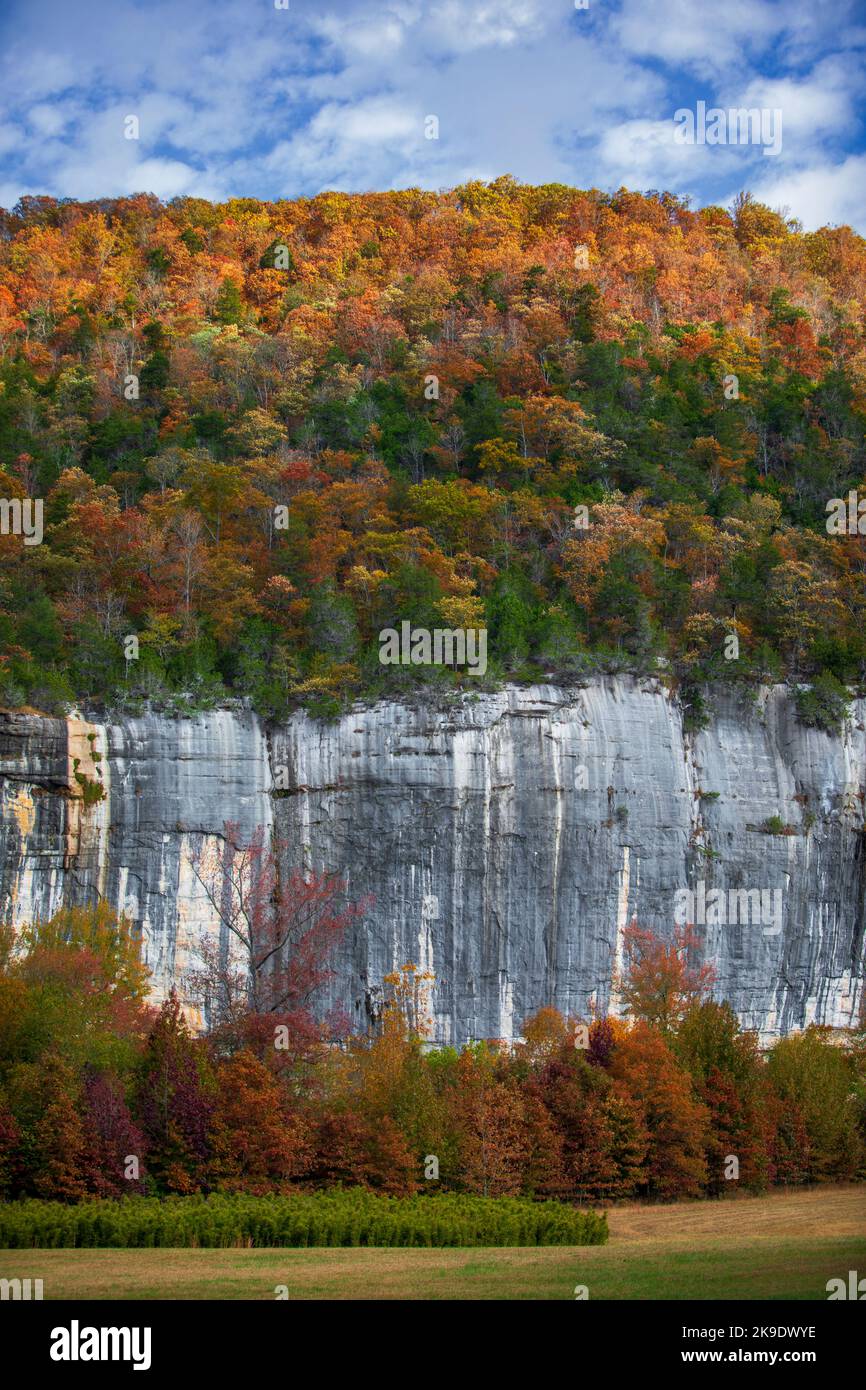 Sunset photo during the autumn as the trees change color at Roark Bluff ...
