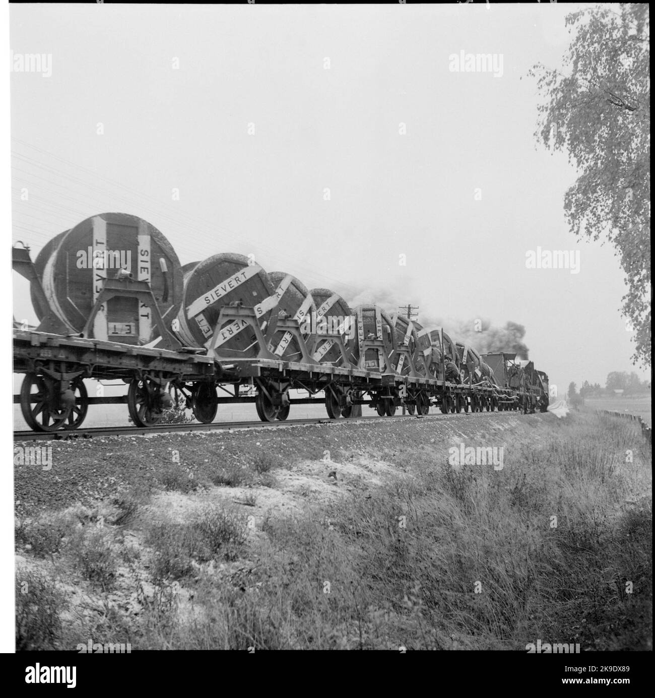 Cable output train. Plusing telecommunications in the embankment before ...