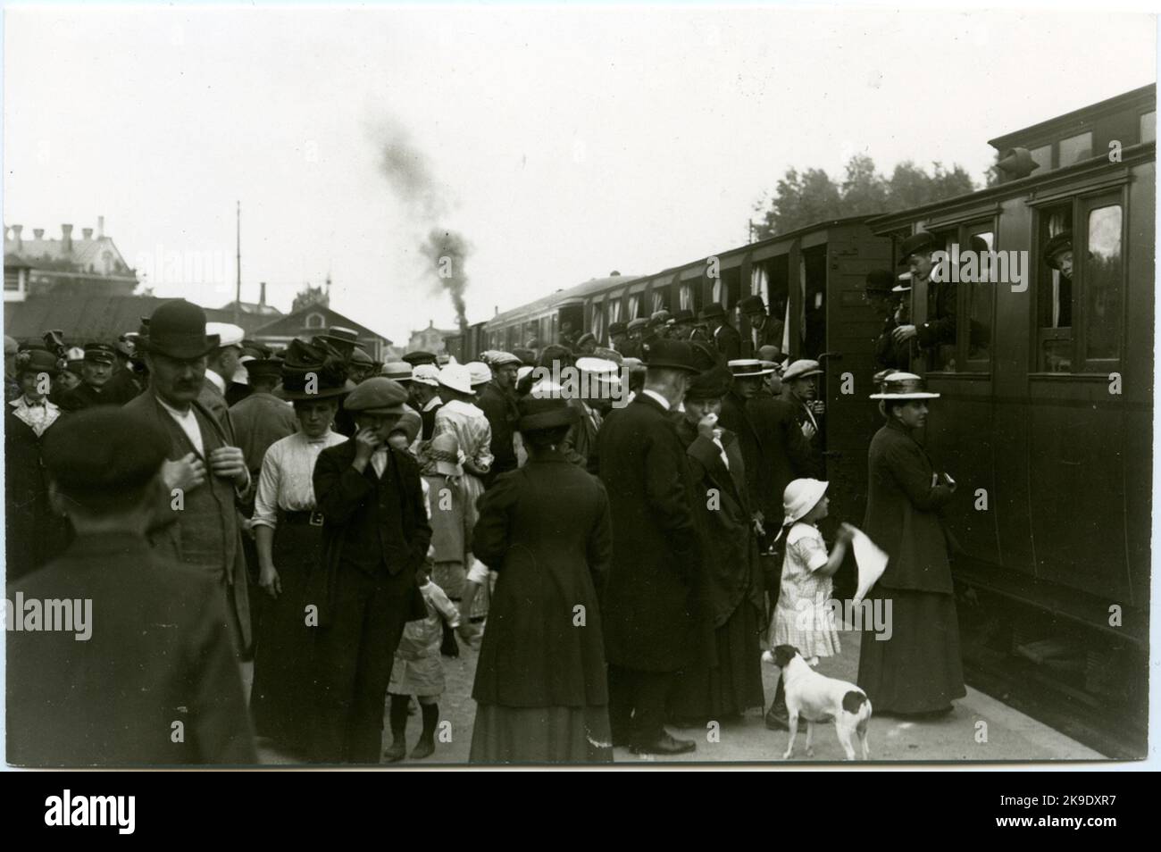 Swedish conscripts hi-res stock photography and images - Alamy